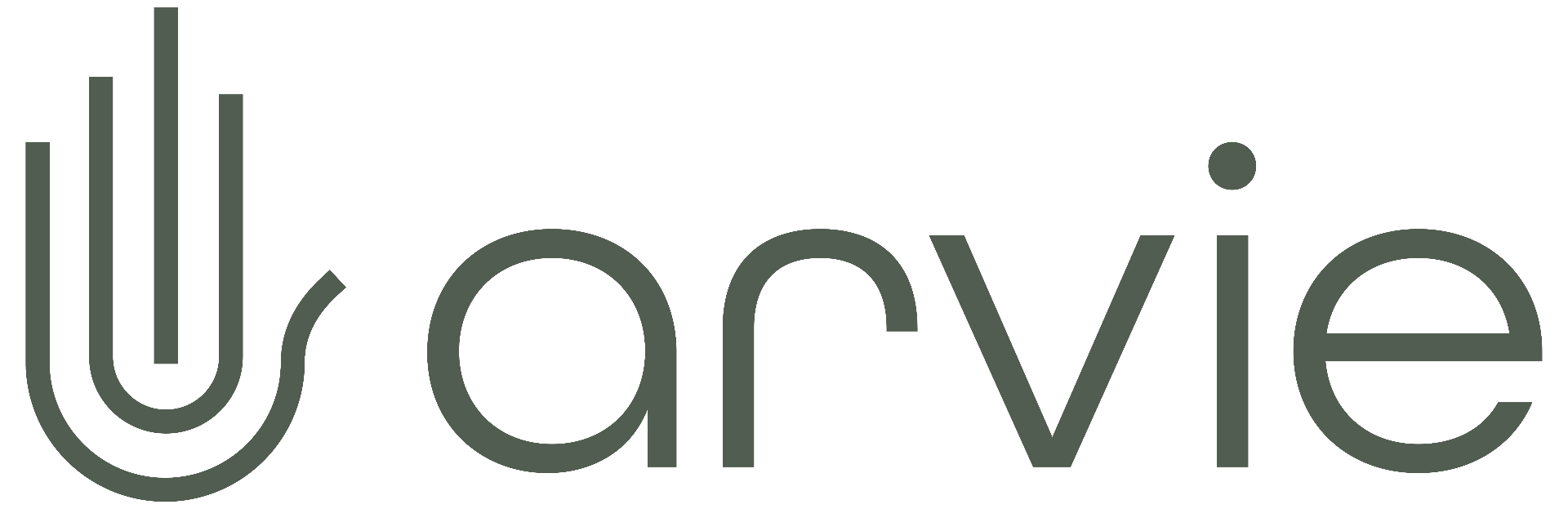 ARVIE — Estudio de Autocuidado | Santo Domingo